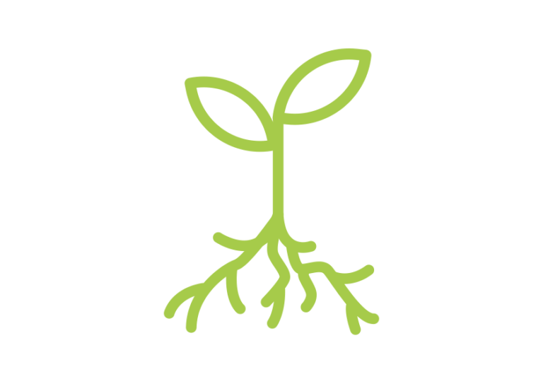 The Use of Algae as Fertilizer: Best Option for Sustainability
