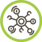 The Use of Algae as Fertilizer: Best Option for Sustainability