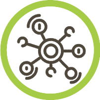 The Use of Algae as Fertilizer: Best Option for Sustainability