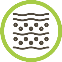 The Use of Algae as Fertilizer: Best Option for Sustainability