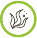 Biostimulants: Definition, Composition, Benefits, and Applications