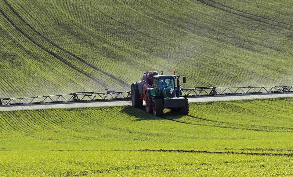 The Use of Algae as Fertilizer: Best Option for Sustainability