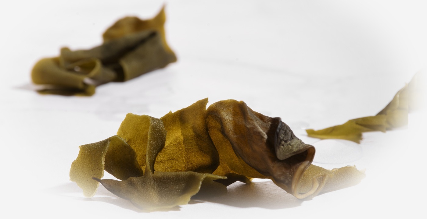 Seaweed-Based Biostimulants: A Growing Industry